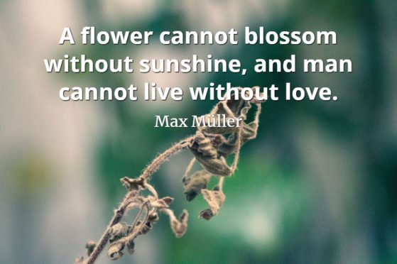QuotePics.com | Man Cannot Live Without Love | QuotePics.com
